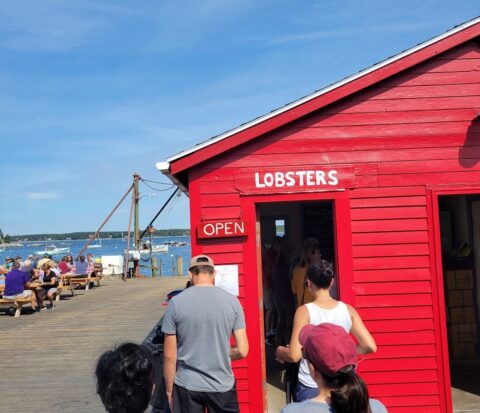 Gallery » Five Islands Photos » Five Islands Lobster Co.